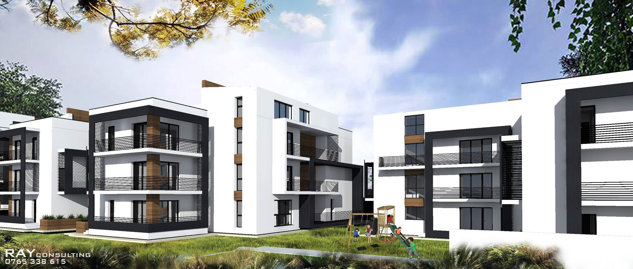 despre noi – ray consulting